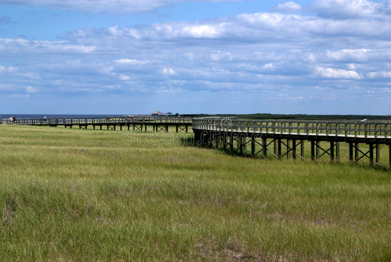 Pathway over the marsh stock image. Image of bouctouche - 11129417