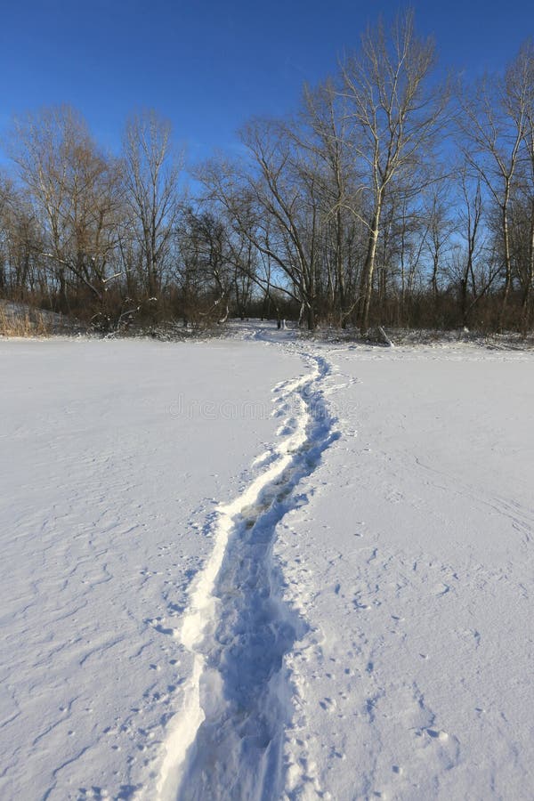 Pathway over winter field stock photo. Image of scenic - 37466992