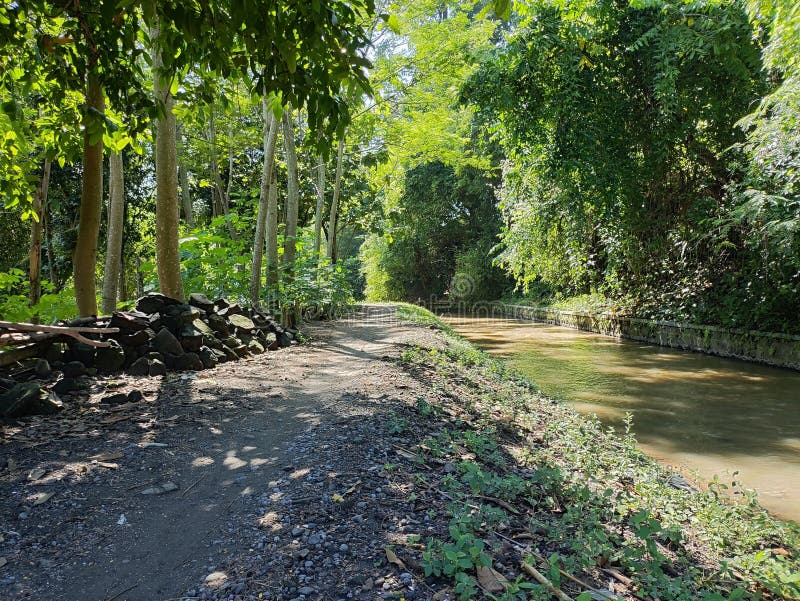 A Pathway Parallel To a Flowing River Stock Image - Image of path, cool ...