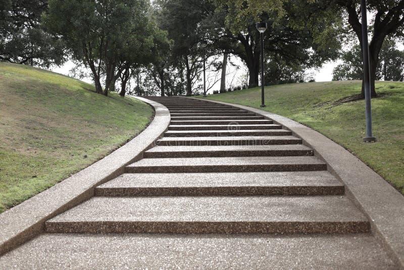 Pathway in the park stock photo. Image of grass, trees - 12674396