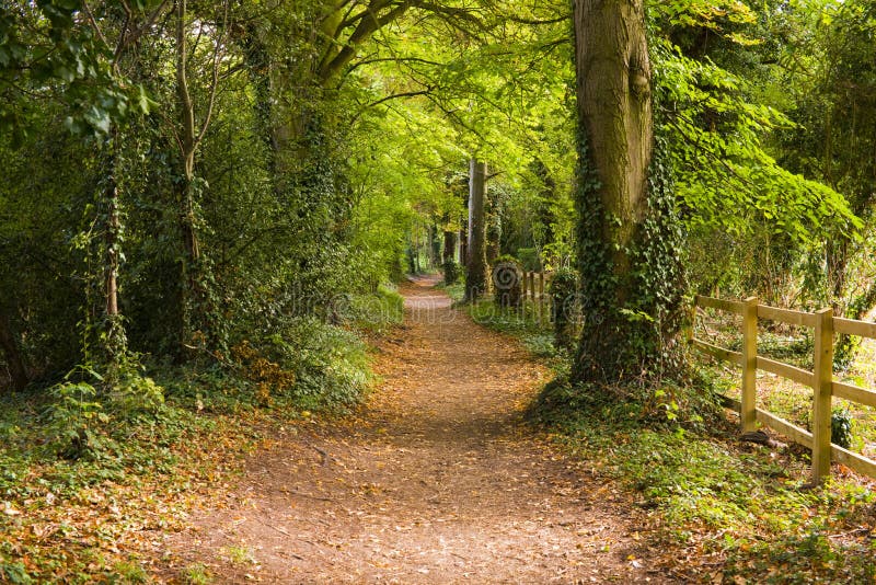 Pathway in Park stock image. Image of fence, green, park - 20911773