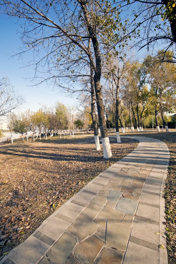 Pathway in park stock photo. Image of autumn, calm, leaves - 27848046