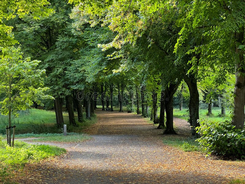Pathway in a Park in Amsterdam, the Netherlands Stock Photo - Image of ...