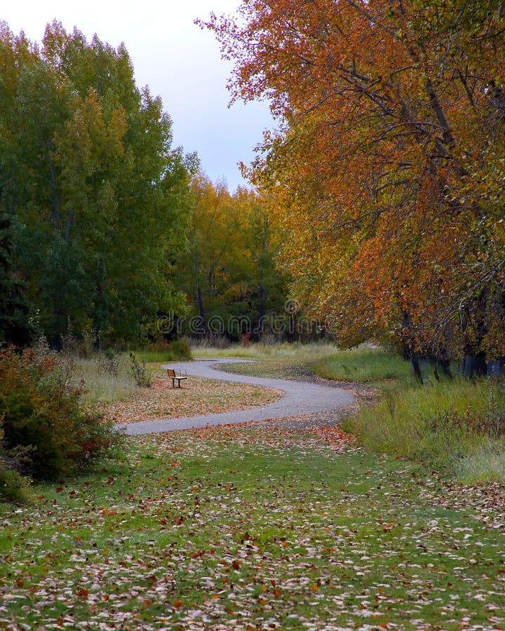 Pathway through a Park in Autumn with Trees in Fall Colors Stock Image ...