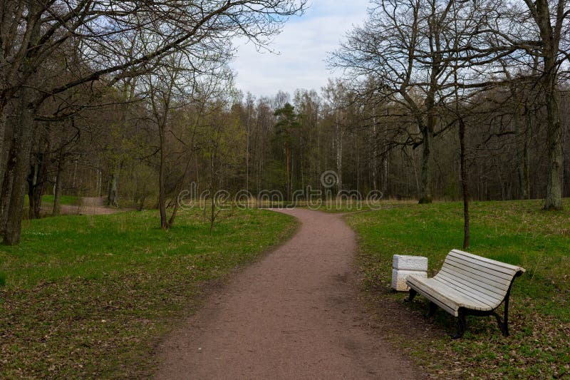 A Pathway through a Park with a Bench and Trees Stock Image - Image of ...