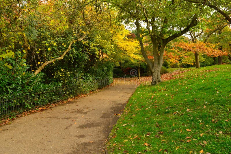 Pathway in a park stock image. Image of park, grass - 193468501