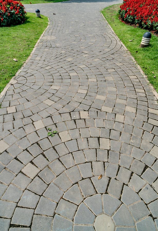 Pathway in park stock photo. Image of scenic, tree, sunny - 96722564