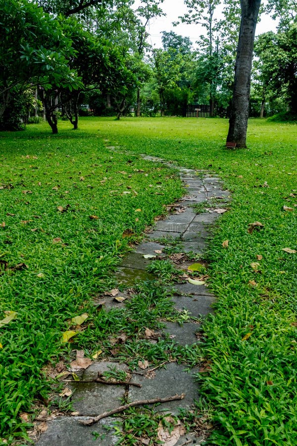 Pathway in the park stock photo. Image of pathway, nature - 99112826
