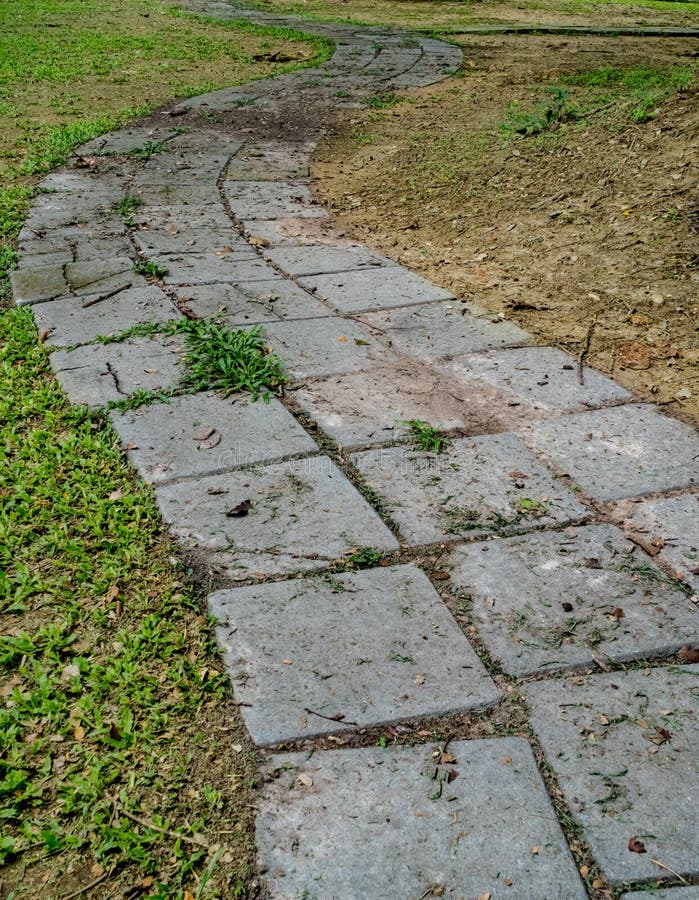 Pathway in park stock photo. Image of lawn, sidewalk - 93382354