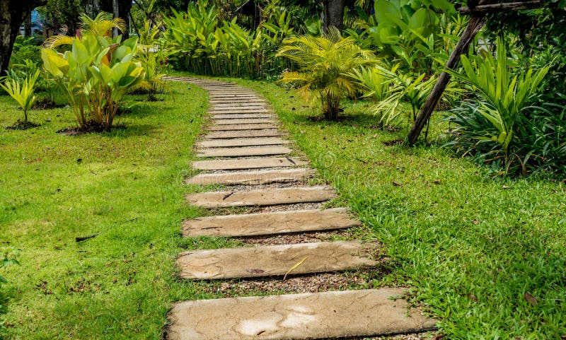 Pathway in park stock image. Image of spring, meadow - 94949035
