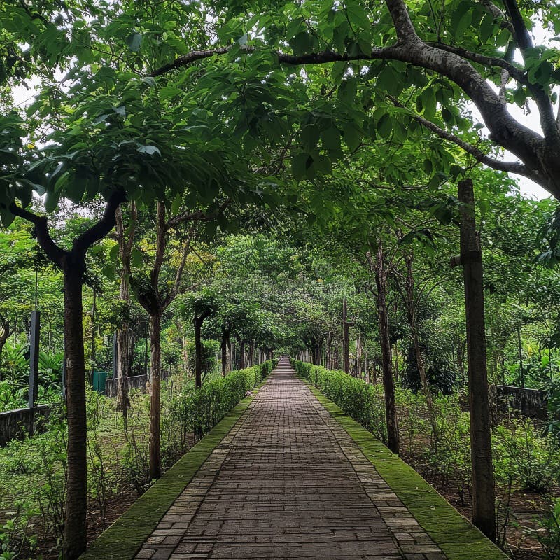 Pathway in the Park with Green Tree, Nature Background Concept. Stock ...