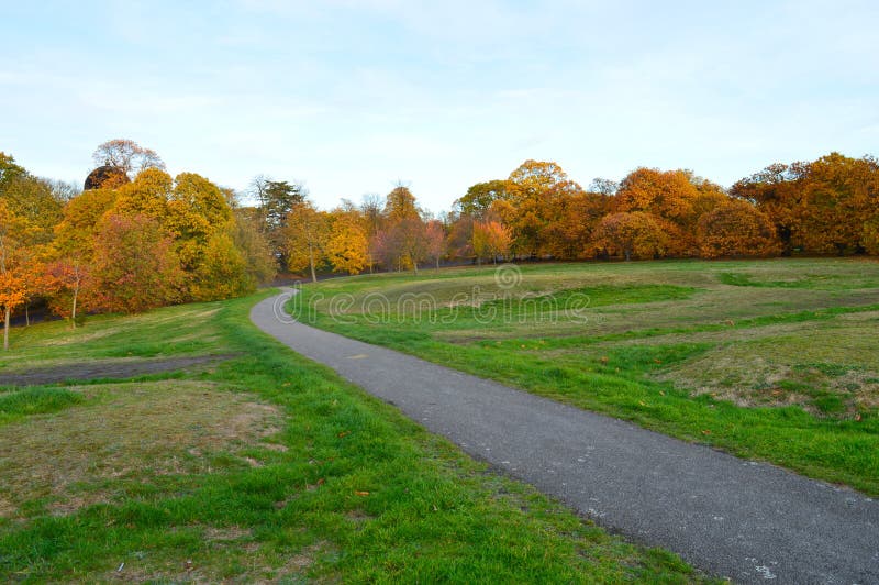 Pathway in a park stock image. Image of country, isolated - 193469119