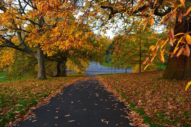 Pathway in a park stock image. Image of park, grass - 193468501