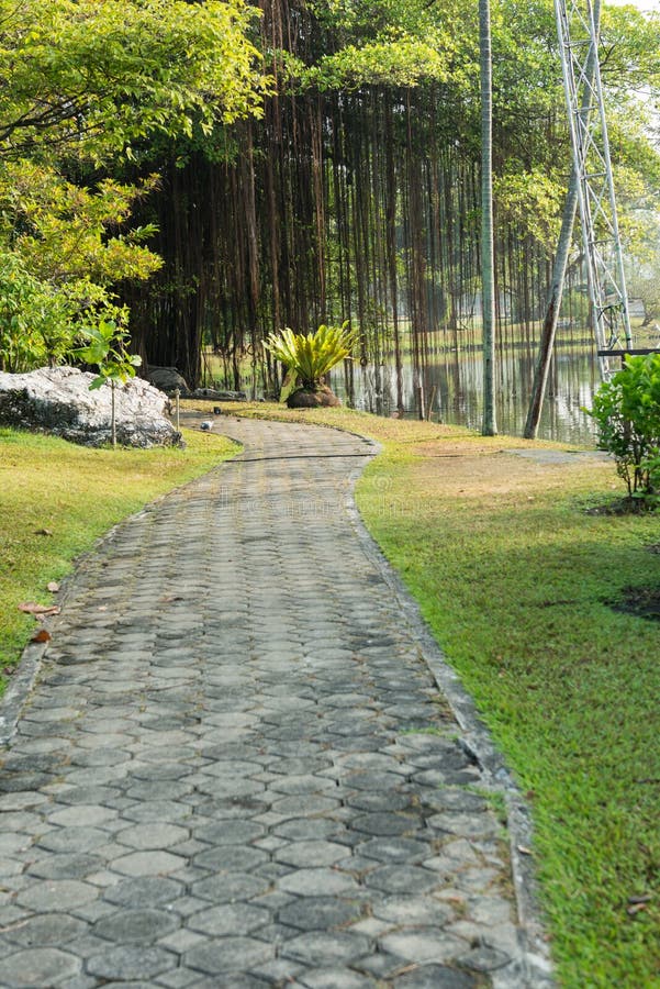 Stone pathway into garden stock image. Image of bush - 36712809