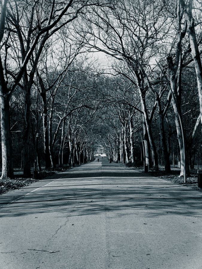 Pathway in a Park Near Spring in Hungary Stock Photo - Image of ...