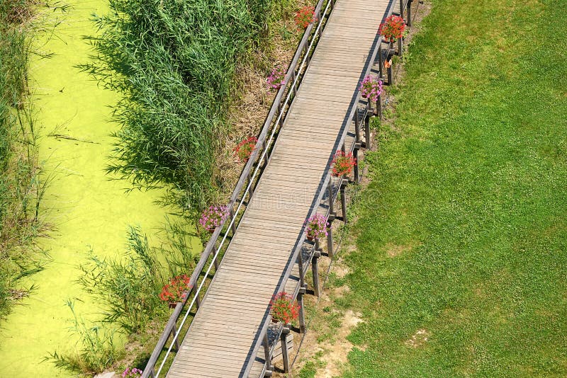 Pathway in the Park, Plan View Stock Photo - Image of grass, summer ...