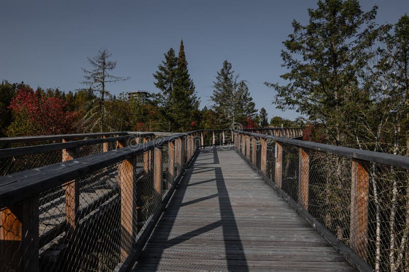 Pathway in the Park in Quebec Stock Photo - Image of forest, tree ...