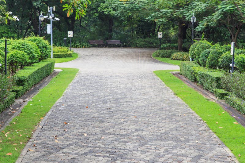 Pathway in the park stock image. Image of beautiful, sirikit - 62363829