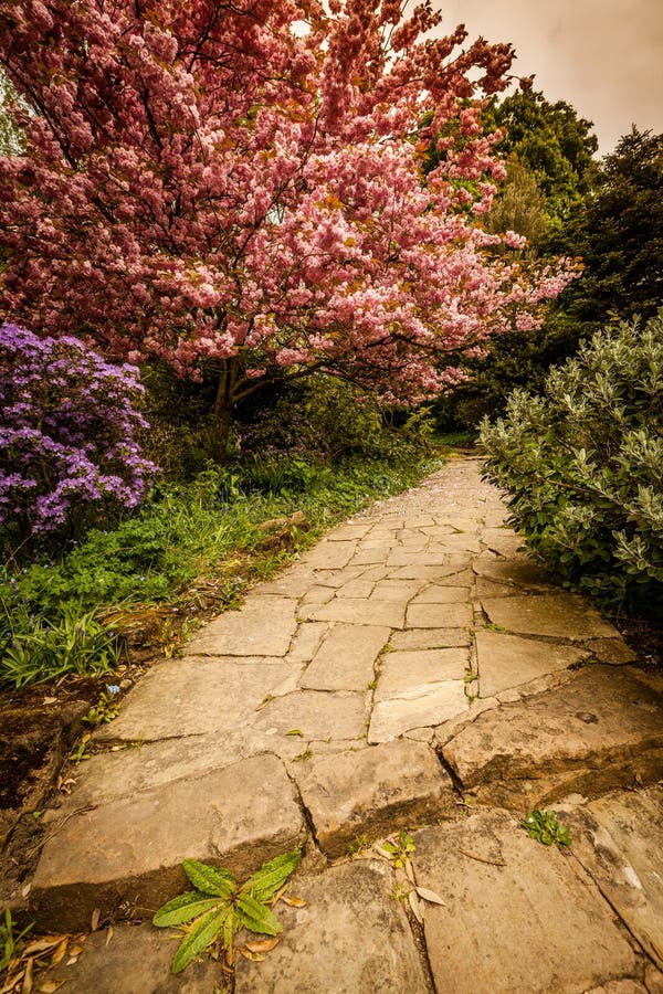 Pathway in a park stock photo. Image of outdoor, change - 40975006