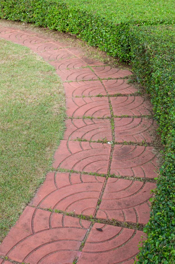 Pathway in the park stock photo. Image of orderly, direct - 32546594