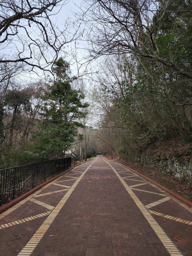 Pathway in the Park with Trees and Fence on the Side Stock Photo ...