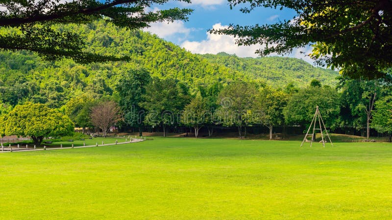 Pathway Passes through Lush Grassy Fields Amidst a Beautiful Tranquil ...