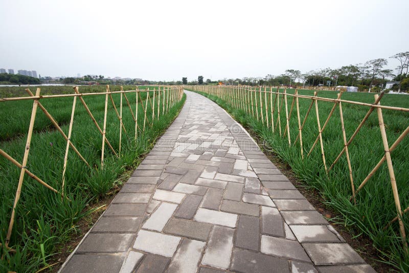 Pathway stock image. Image of path, field, pathway, grass - 101728841