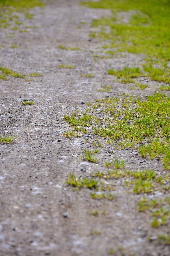 Pathway stock image. Image of soil, grassland, leaf - 343675925