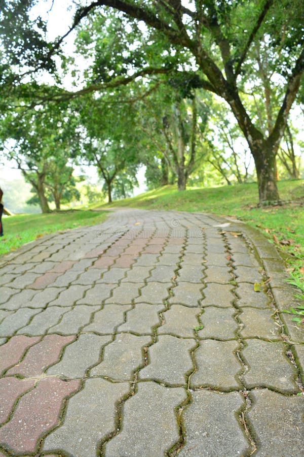 Pathway stock image. Image of pattern, beautiful, pathway - 119324557