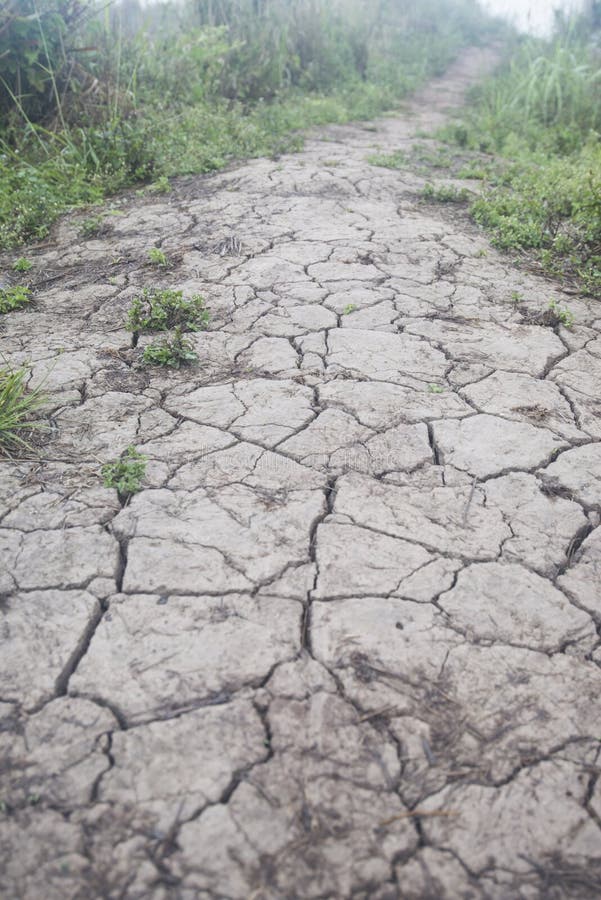 Pathway Pattern Cracked Earth in the Ground Stock Photo - Image of ...
