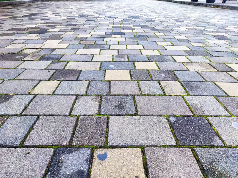 Pathway with Patterned Stones and Greenery in a City during Daylight ...