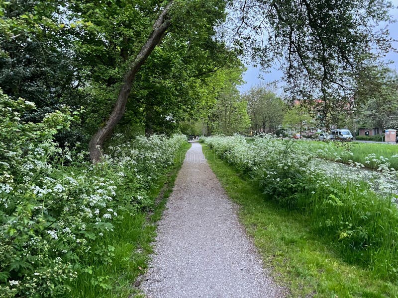 Pathway and Plants Near Canal Outdoors on Spring Day Stock Image ...