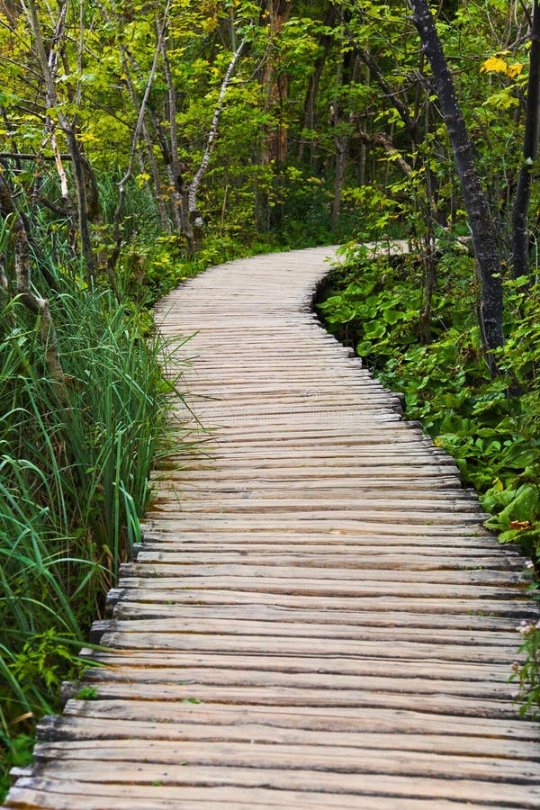 Pathway in Plitvice Lakes Park at Croatia Stock Photo - Image of ...