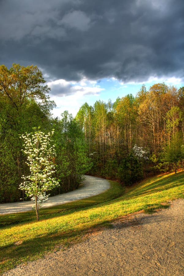 Pathway in a Public Park stock photo. Image of wood, pathway - 2190960