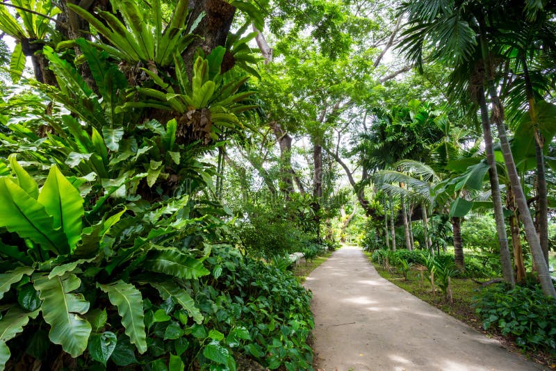 Pathway in public park stock image. Image of nature - 107295307