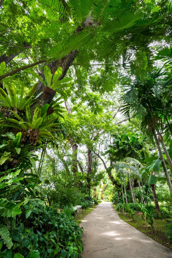 Pathway in public park stock photo. Image of public, walk - 75415114