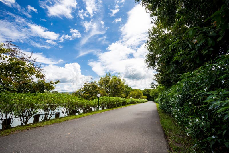 Pathway in Public Park stock image. Image of fresh, pathway - 36150041