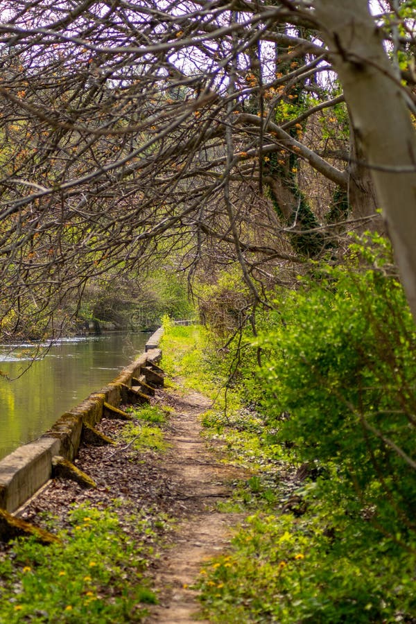 Pathway by the River Channel Stock Image - Image of leafs, path: 269615517