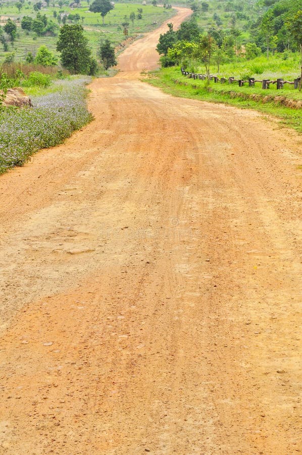 Pathway road in the rural stock image. Image of landscape - 20546671
