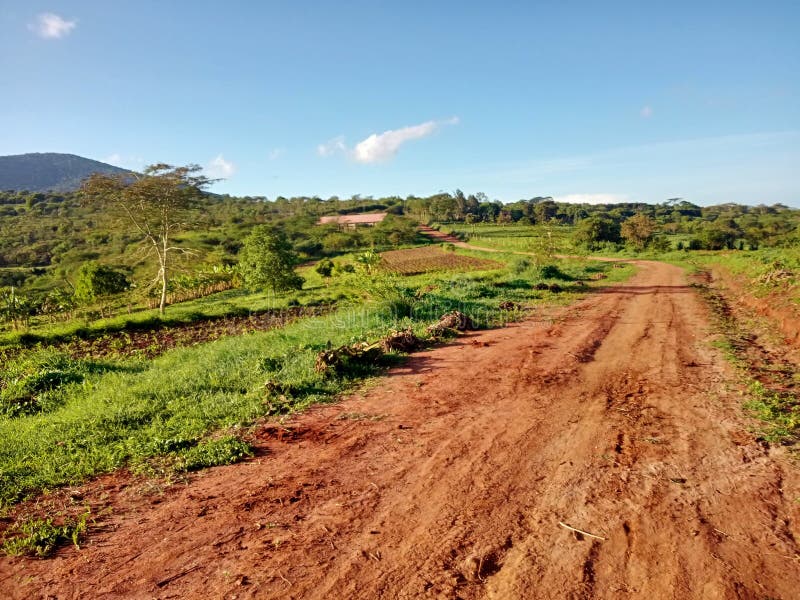 Pathway road to new place stock image. Image of grassland - 238149279