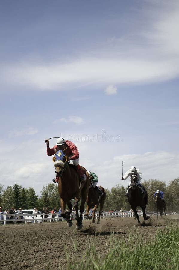 Fast Action Horse Racing Okey`s Riding Fast Along a Dirt Race Track ...