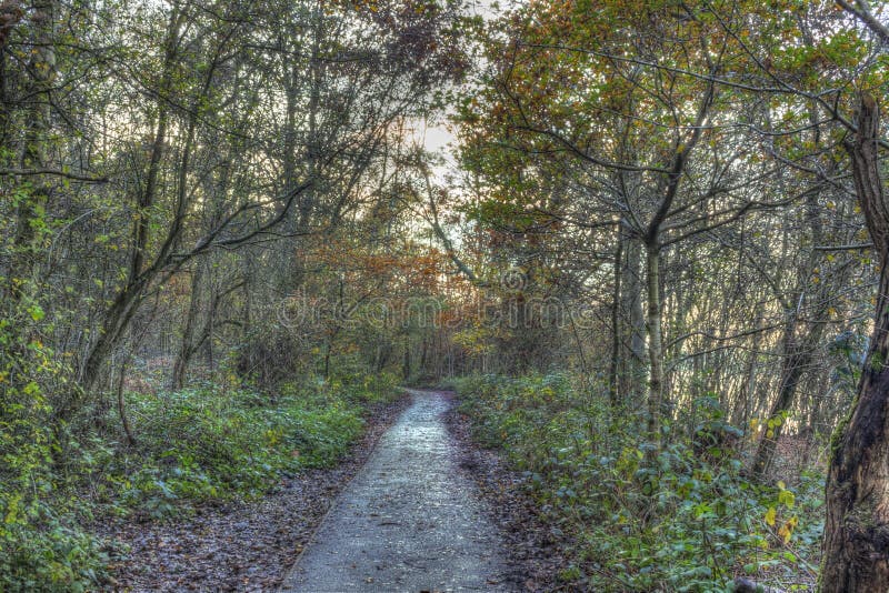 The pathway stock image. Image of pathway, london, ruisliplido - 47038725