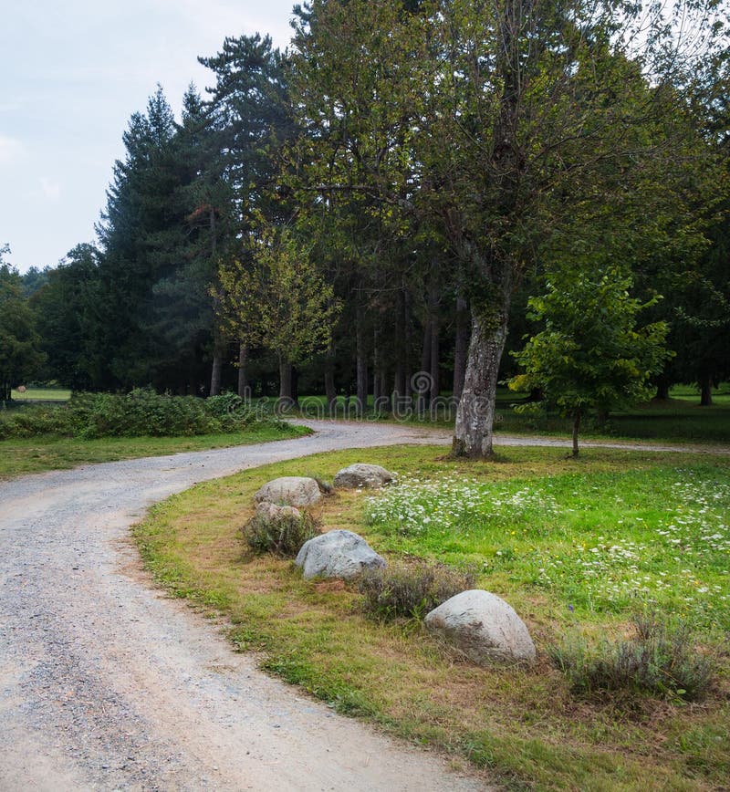 Pathway S-shaped stock photo. Image of direction, walk - 56837682