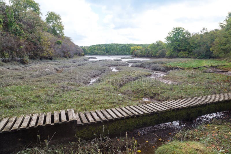 Pathway Saints Way Near Padstow England Cornwall Uk Stock Photo - Image ...