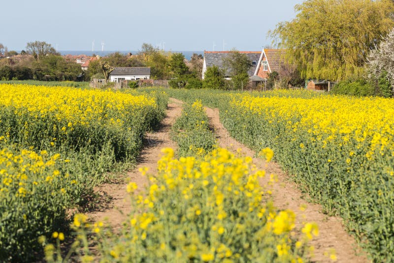 691 Pathway Seed Stock Photos - Free & Royalty-Free Stock Photos from ...