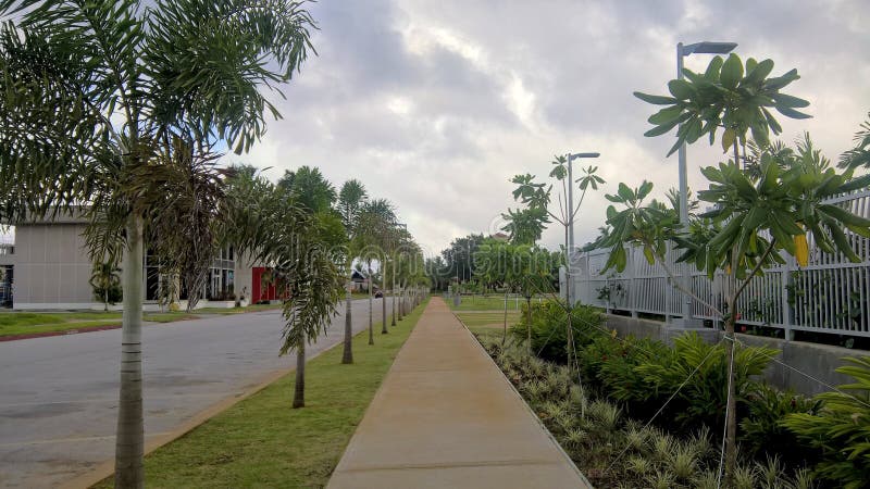 A Sidewalk With Trees On The Two Sides Stock Image - Image of foliage ...