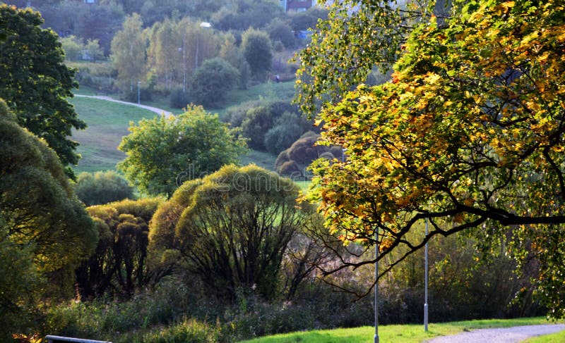 Pathway on the Slopes of the Hills Covered by Botanical Plants and ...