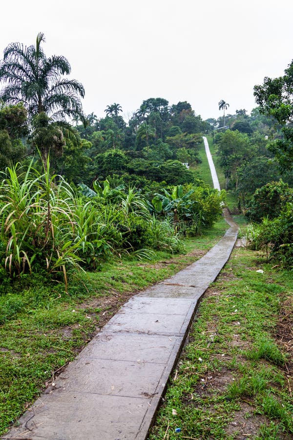 Pathway To Small Village in Autumn Mixed and Deciduous Forrest with the ...