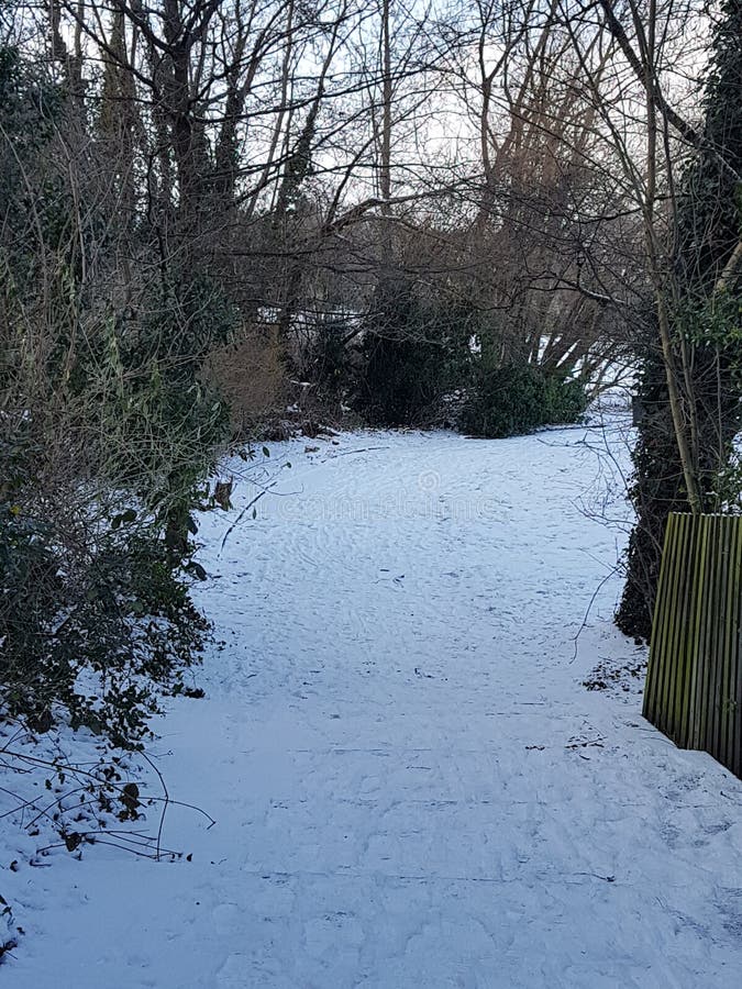 Pathway with Snow Trees Tunnel Corridor and Japanese Lights ...
