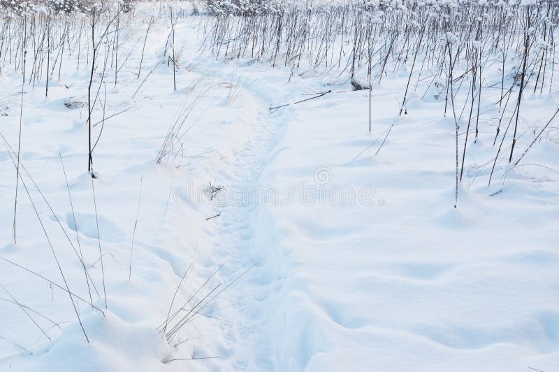 Pathway in the snow stock photo. Image of downhill, pattern - 63170720